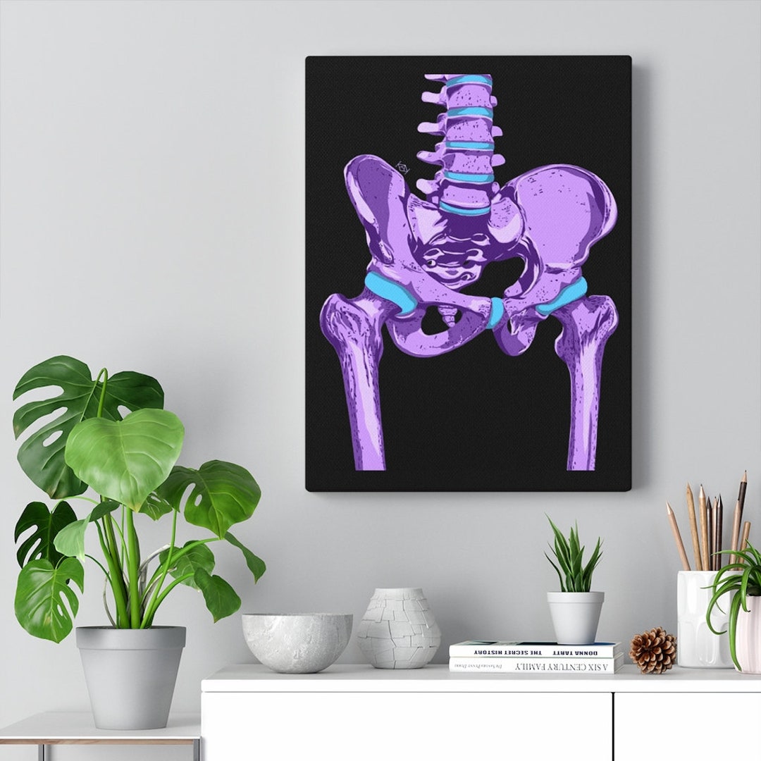 Pelvis KAK Designs Canvas Gallery Wraps therapist Office Decor ...