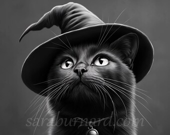Witch Spiky Hat, Black Beautiful Hat, AI Art, Digital Download - Etsy