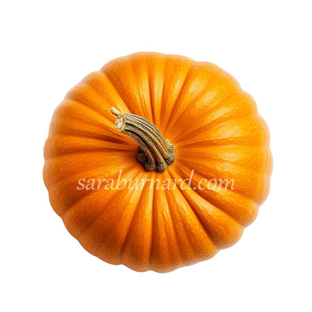Pumpkin Digital Download - Transparent Background PNG - Autumn / Fall ...