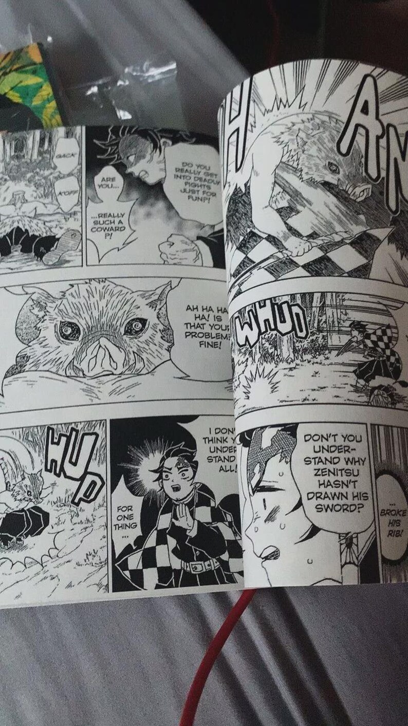 Demon Slayer Vol 1 - Vol 23 Comic Manga Loose / Full Set English ...