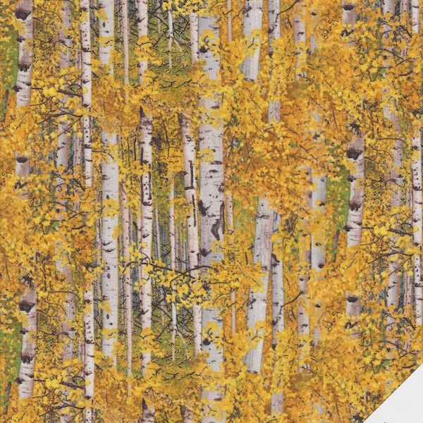 Birch Tree Fabric - Etsy