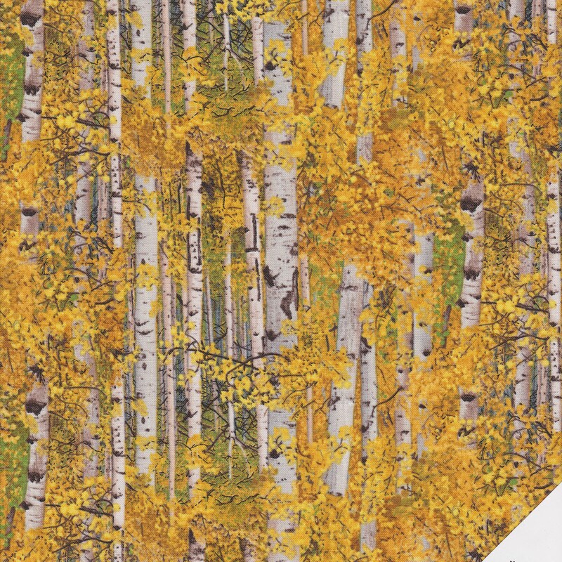 Birch Tree Fabric - Etsy