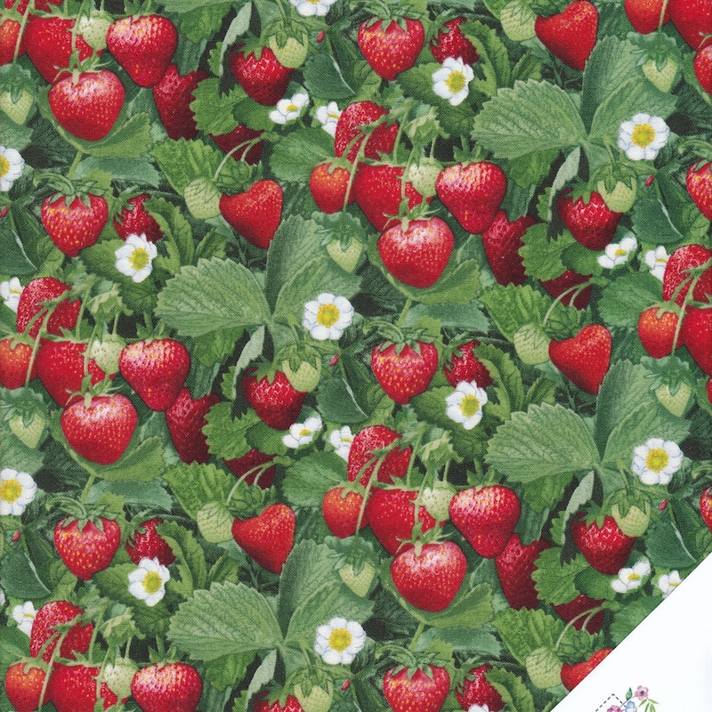 Strawberry Fabric - Etsy