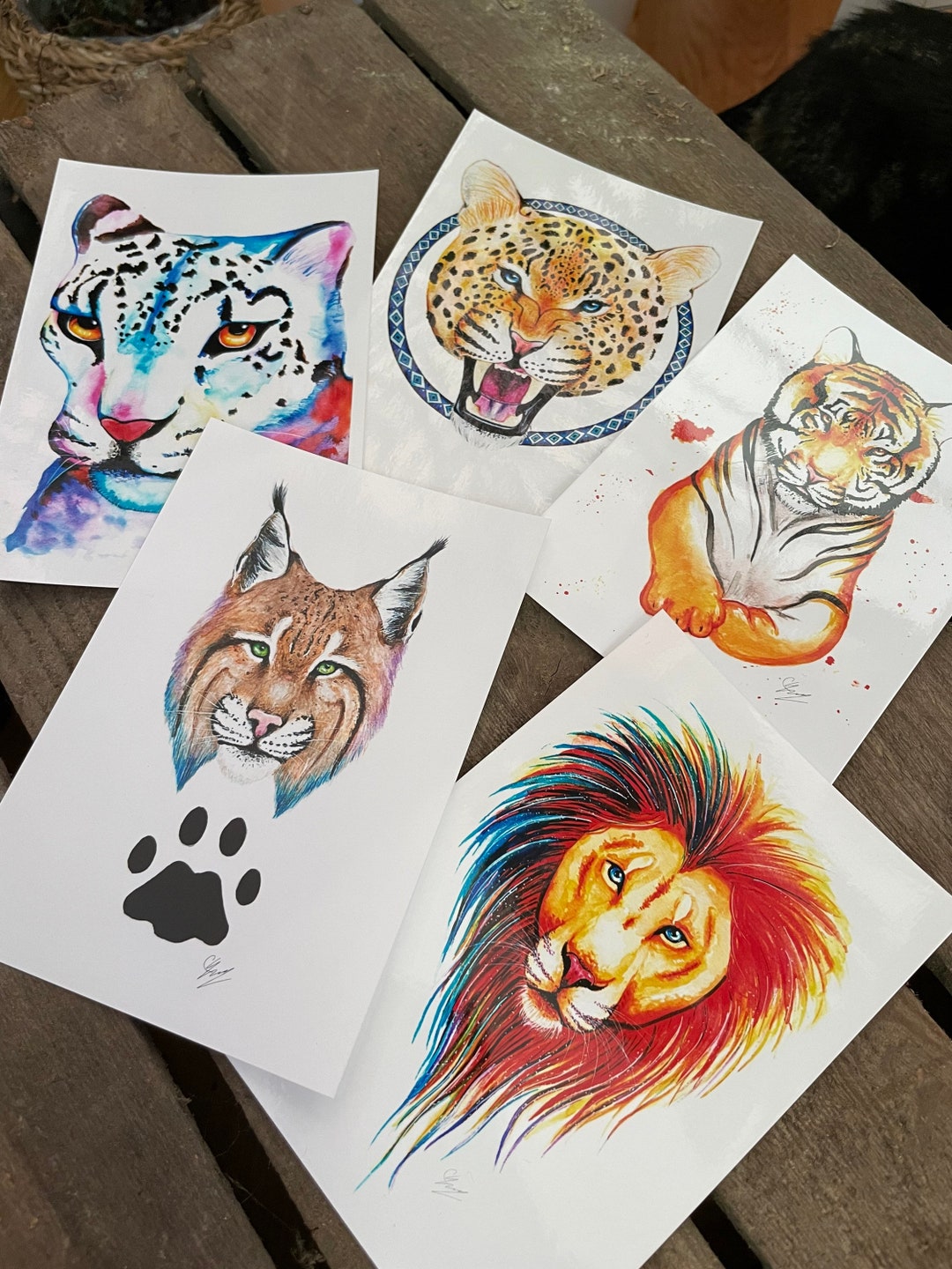 Big Cat Collection Prints A6 - Etsy