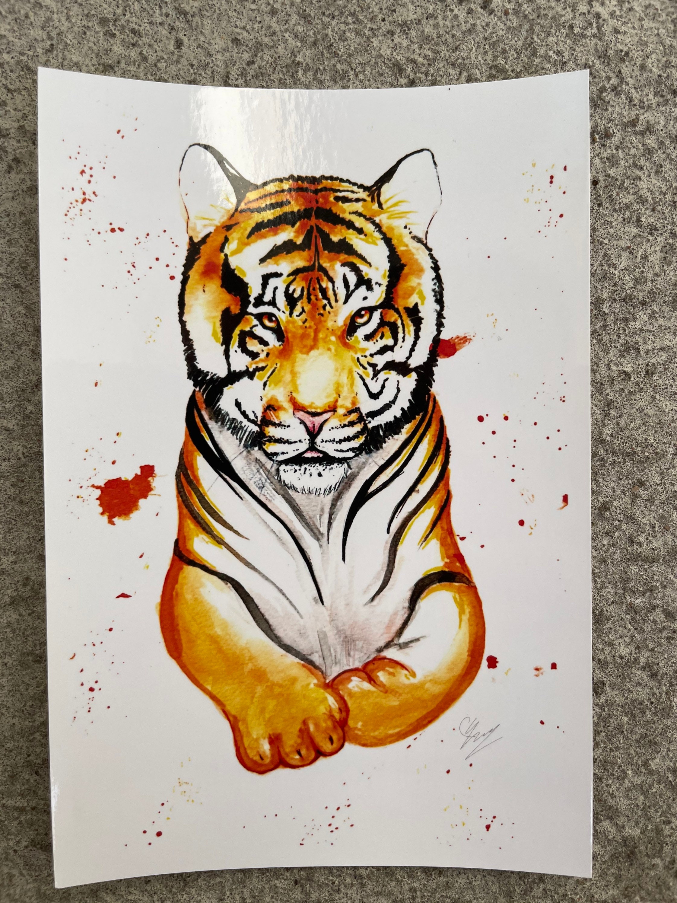 Big cat collection prints A6 | Etsy