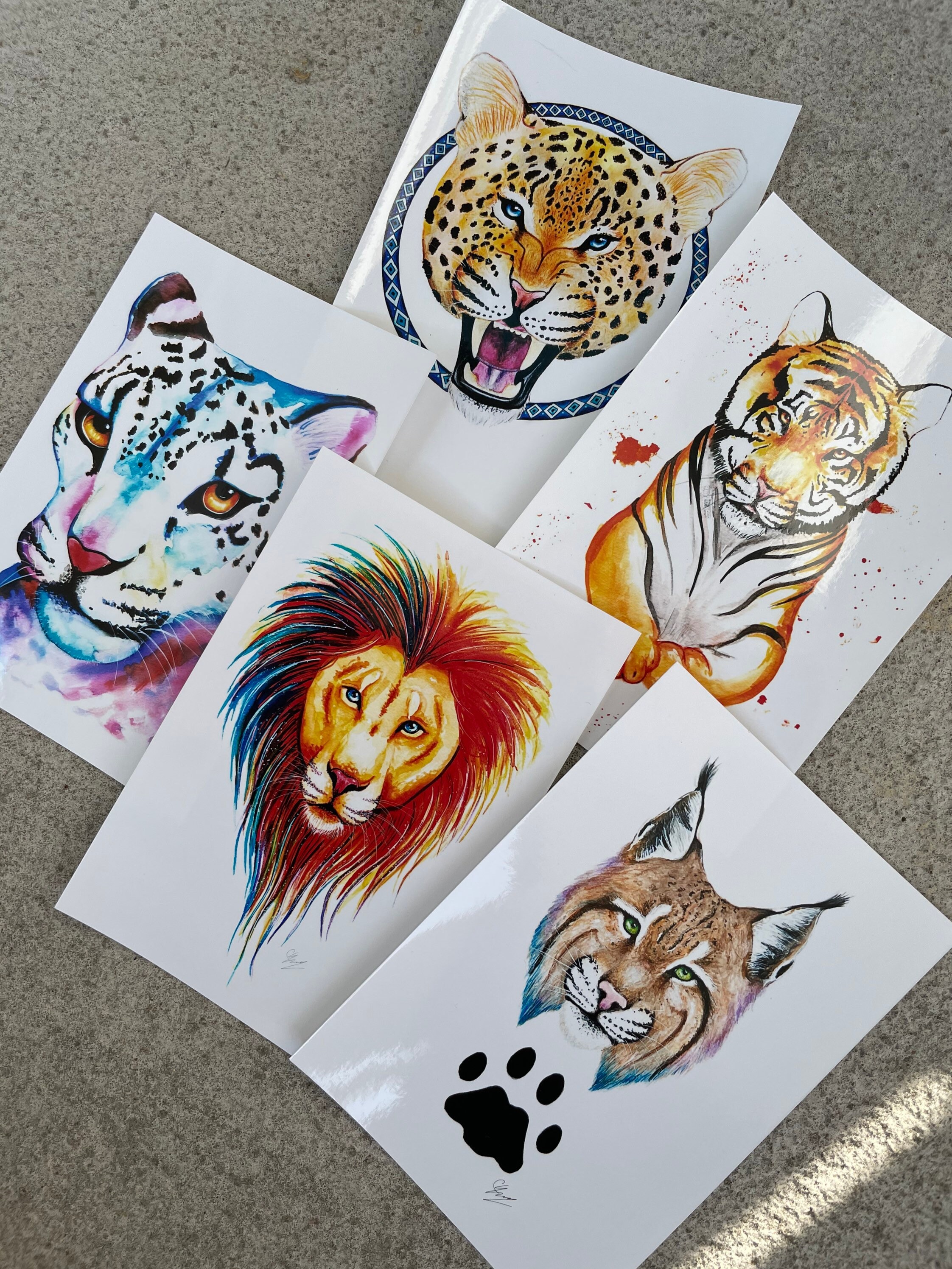 Big Cat Collection Prints A6 - Etsy