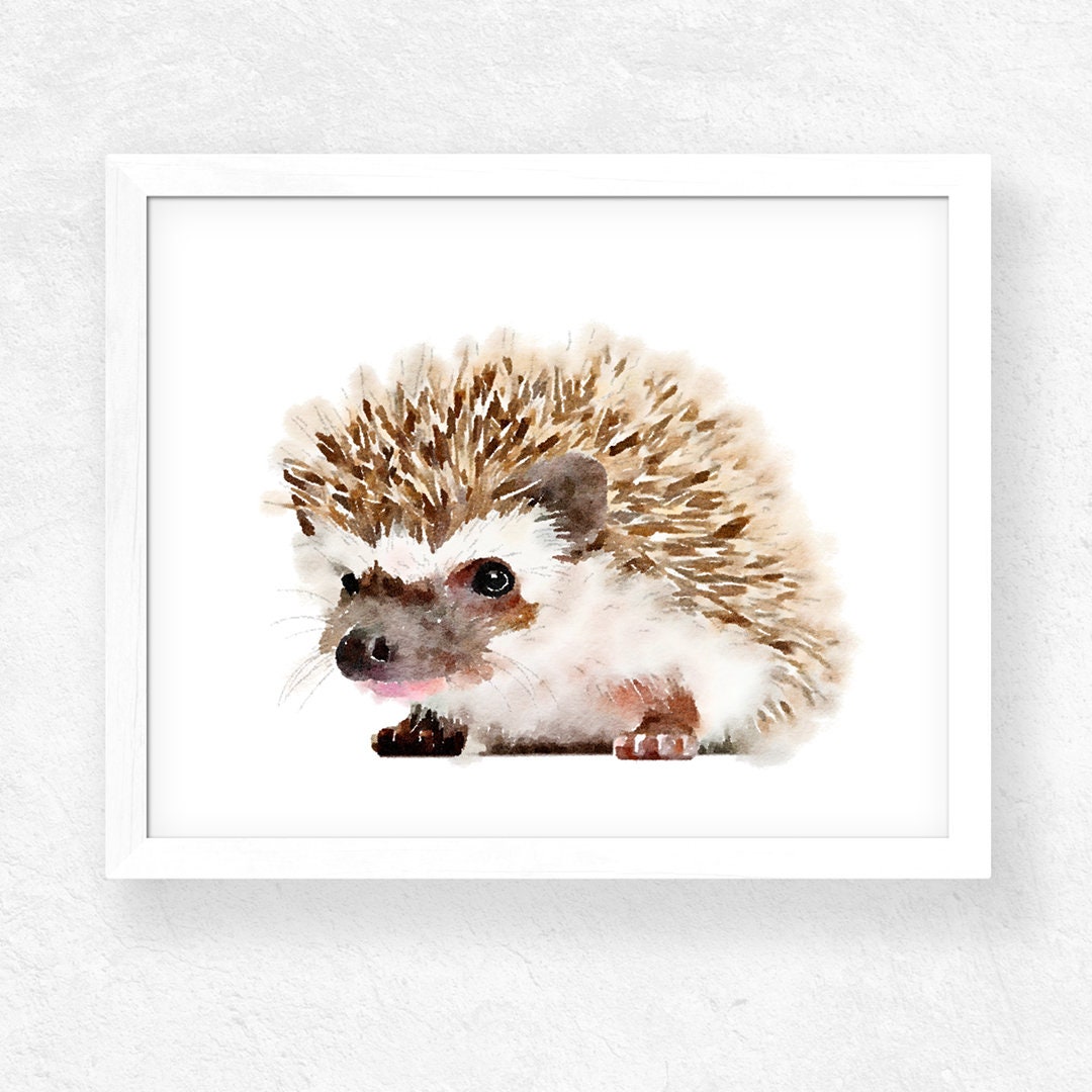 Hedgehog Watercolor Painting Digital Download Hedgehog | Etsy