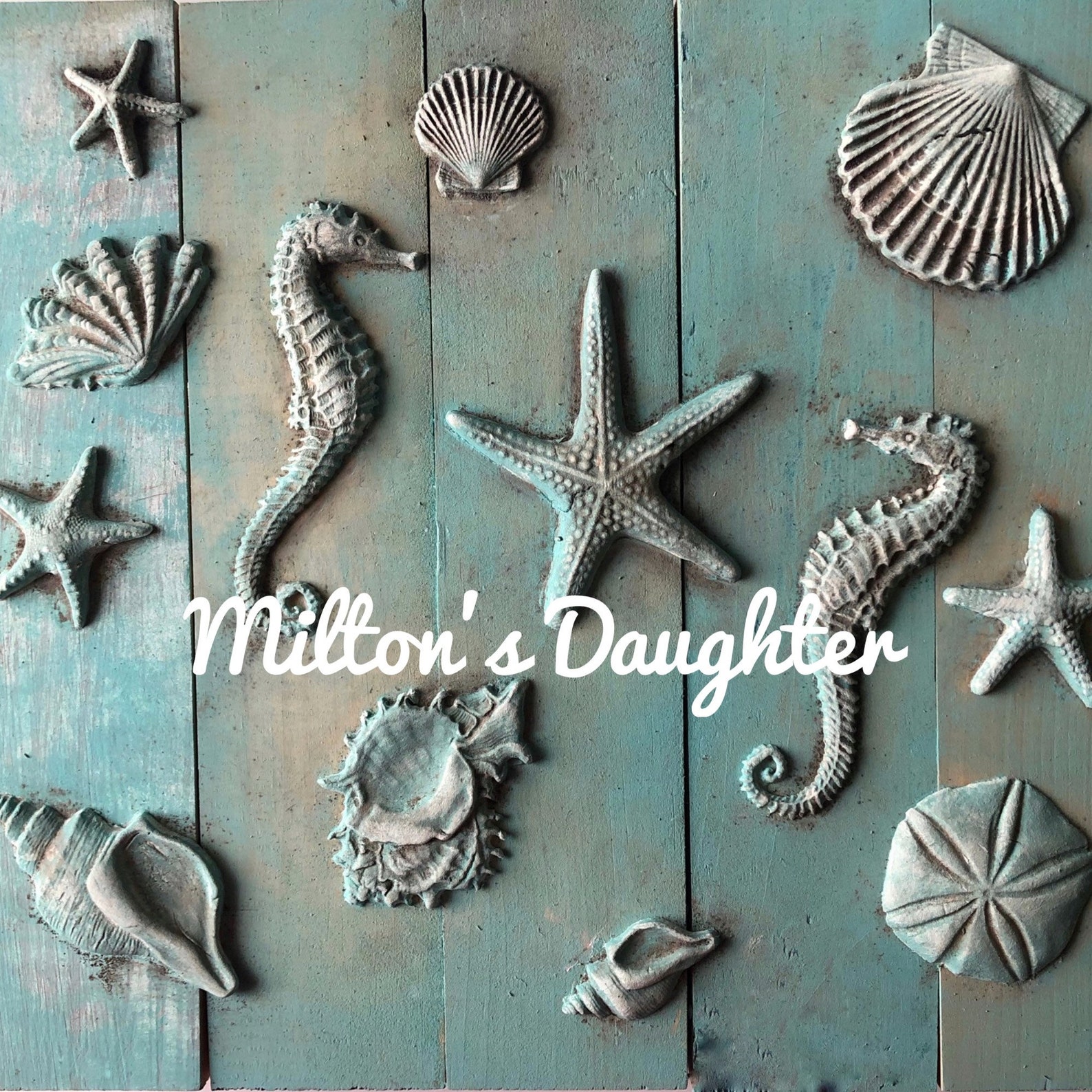 IOD Mold Sea Shells Iron Orchid Designs Silicone Mold for - Etsy