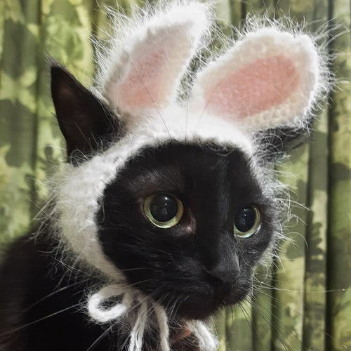 Bunny Hat for Cat Easter Bunny Pet Costume Spring Kitten - Etsy