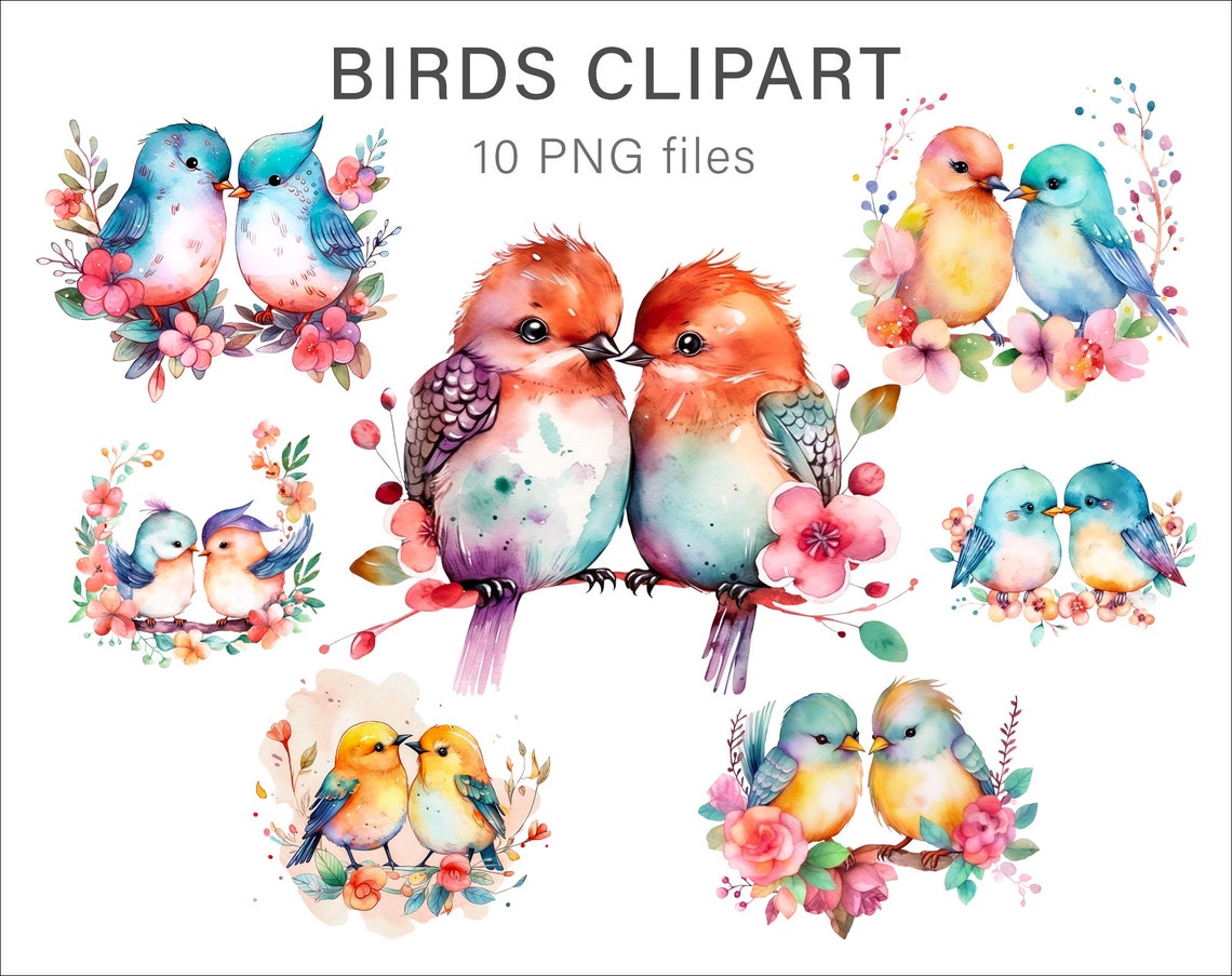 Watercolor Birds Clipart, Colorful Birds Clipart, Bird Png, Spring Clip ...