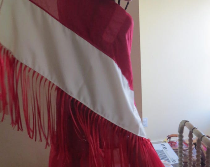 Pow Wow Regalia Native American Girl's Fancy Dance Dress and Shawl Size ...