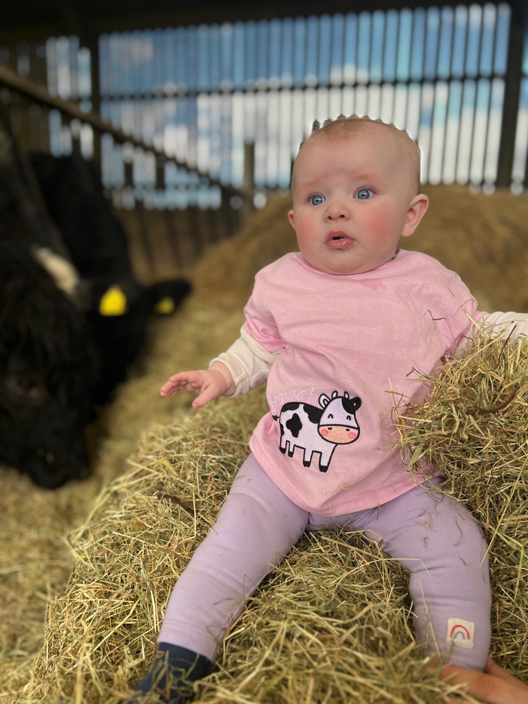 Ready to Go-pinc Crysau-t Y Fferm Ani-bendod Farm T-shirts PINK - Etsy UK