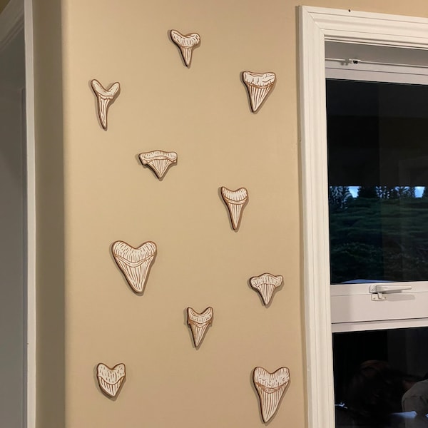 Shark Tooth Display - Etsy