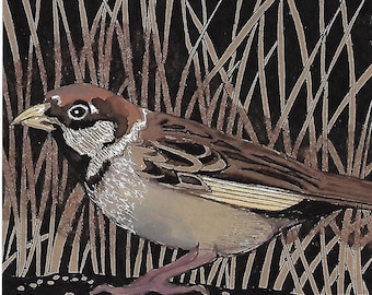 Sparrow Cards | Etsy