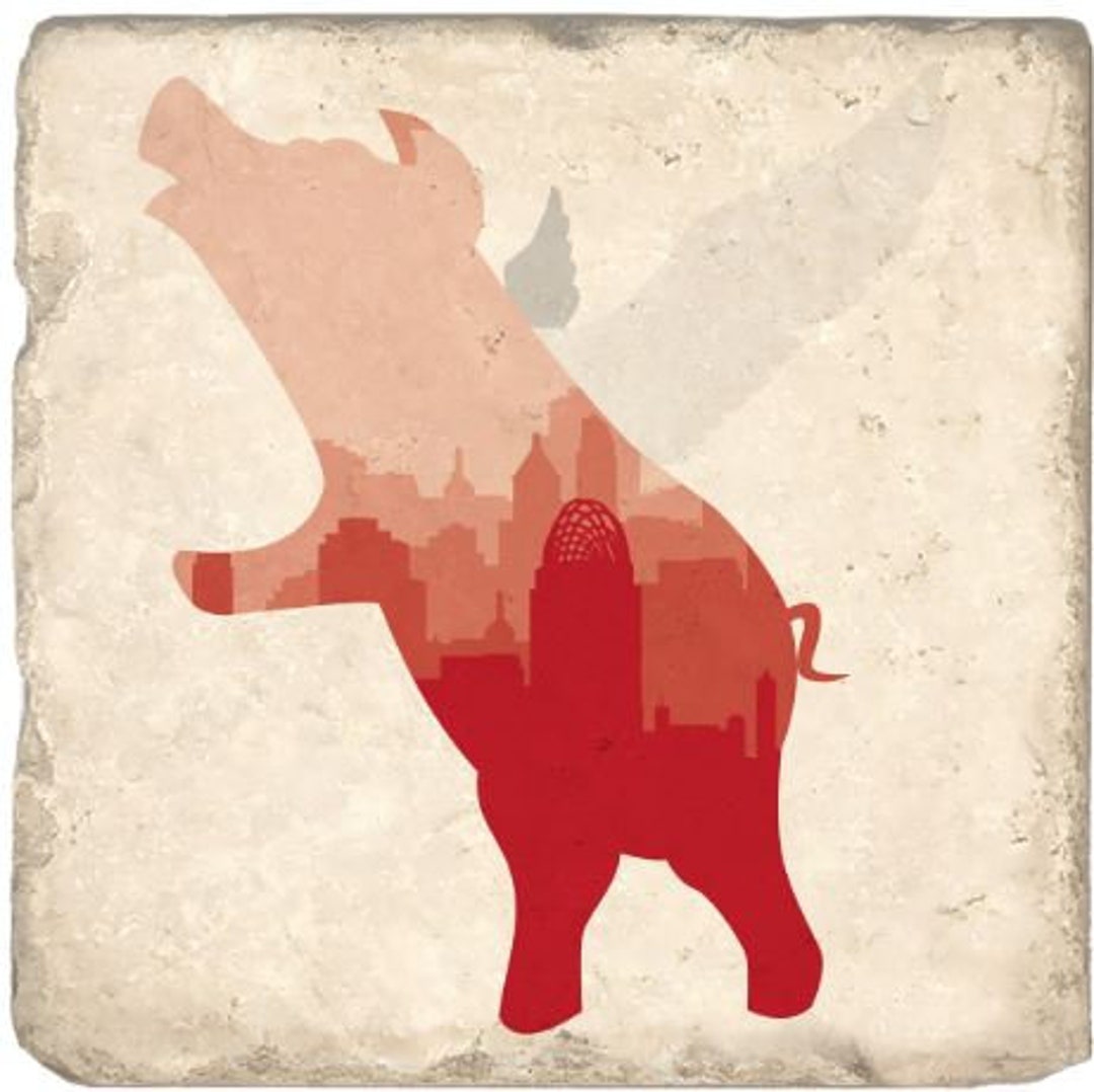 Cincinnati Flying Pig Skyline Marble Coaster - Etsy