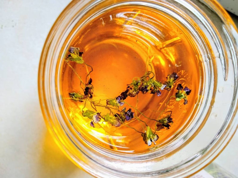 Violet Herbal Oil Infusion (viola Sororia) for Cooling, Respiratory ...