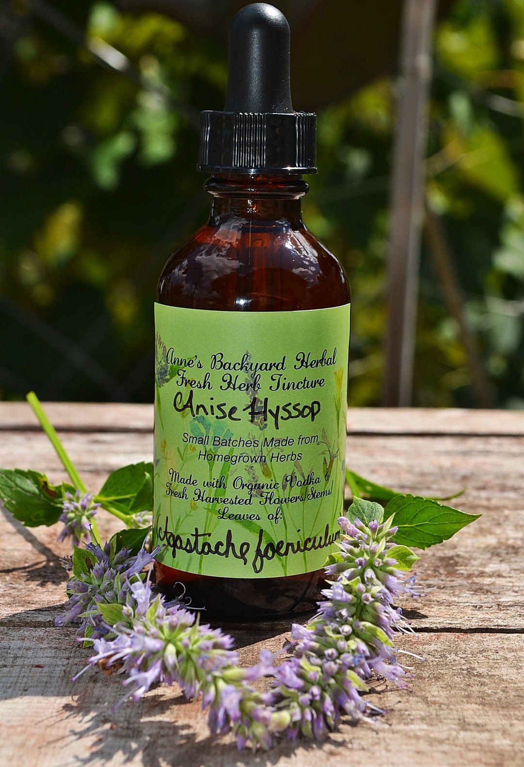 Anise Hyssop Herbal Tincture (agastache Foeniculum) Wellness for Colds ...