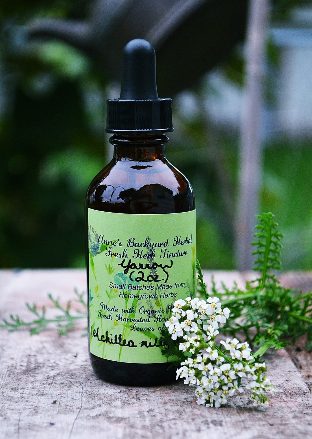 Common Yarrow Herbal Tincture achillea Millefolium L. Health & Wellness ...