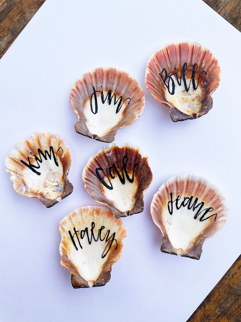 Calligraphy Shell Place Cards – Beach Wedding Oyster Shell Name Tags - Etsy