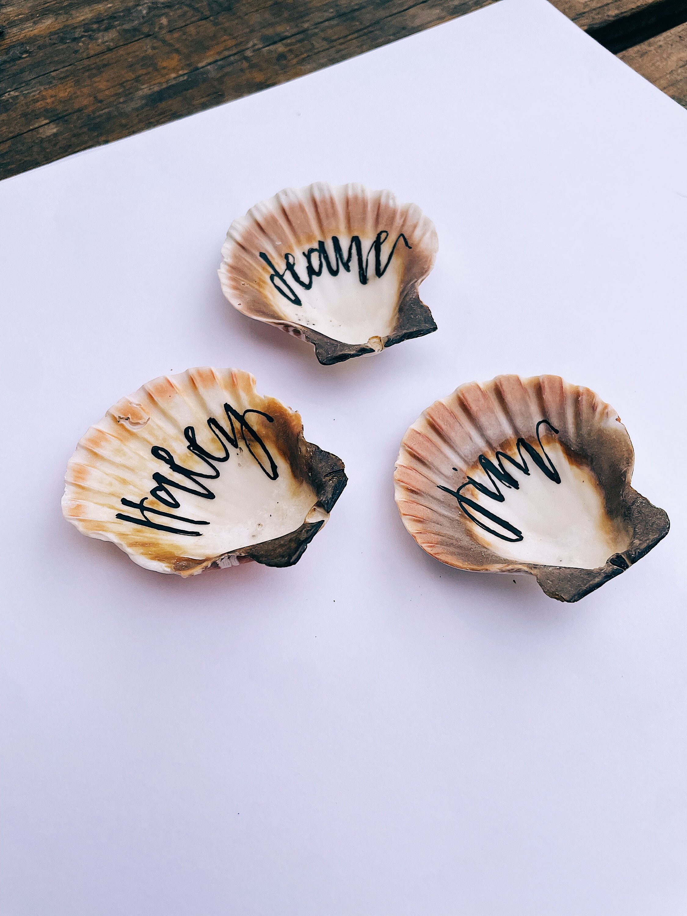 Calligraphy Shell Place Cards – Beach Wedding Oyster Shell Name Tags - Etsy