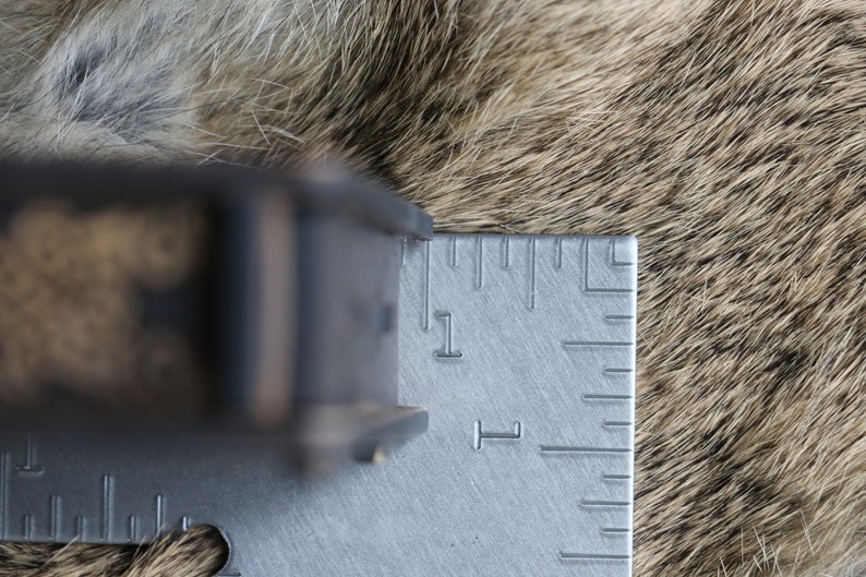 Book Box With Viking Norse Motif Engraved Wood Stash Box - Etsy