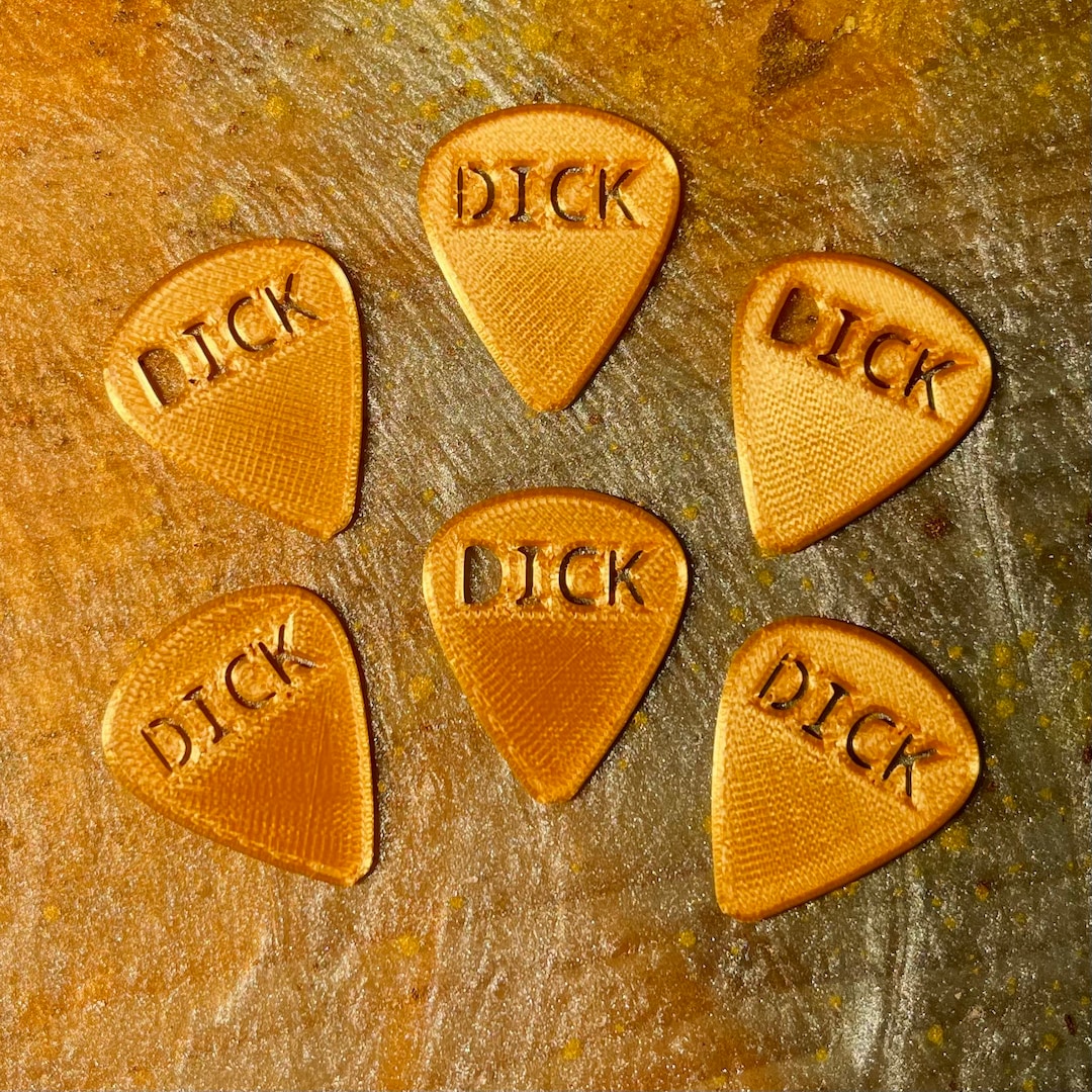 Funny Guitar Picks - Funny Gag Gift - Etsy