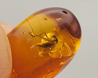 Insect Tree Resin - Etsy