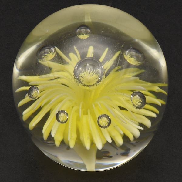 Flower Encased Glass - Etsy