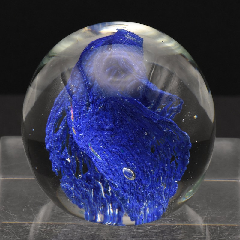 Glass Paperweight - Etsy