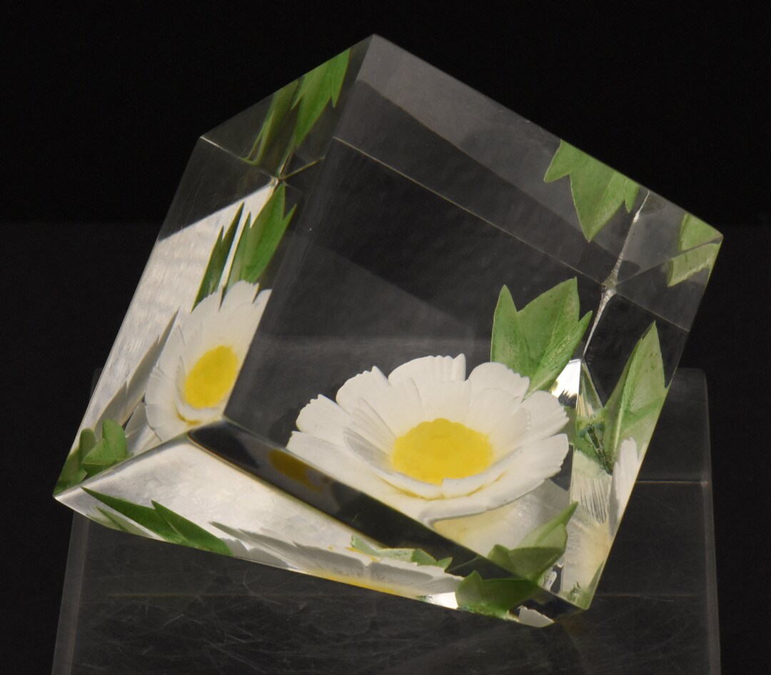 Russ - Vintage Acrylic Daisy in a Cube Paperweight - Etsy