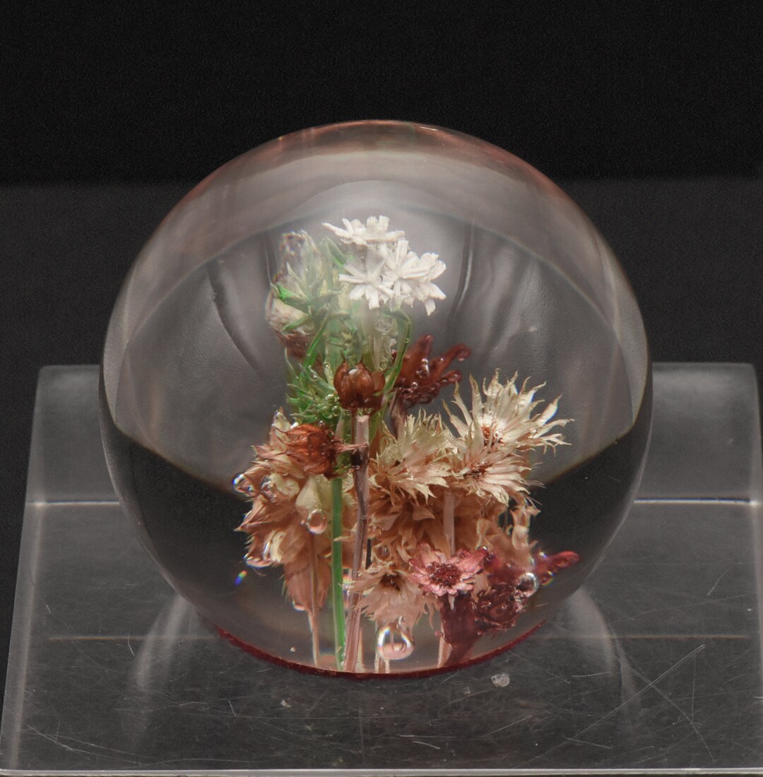 Vintage Dried Floral Specimens in Acrylic Paperweight - Etsy
