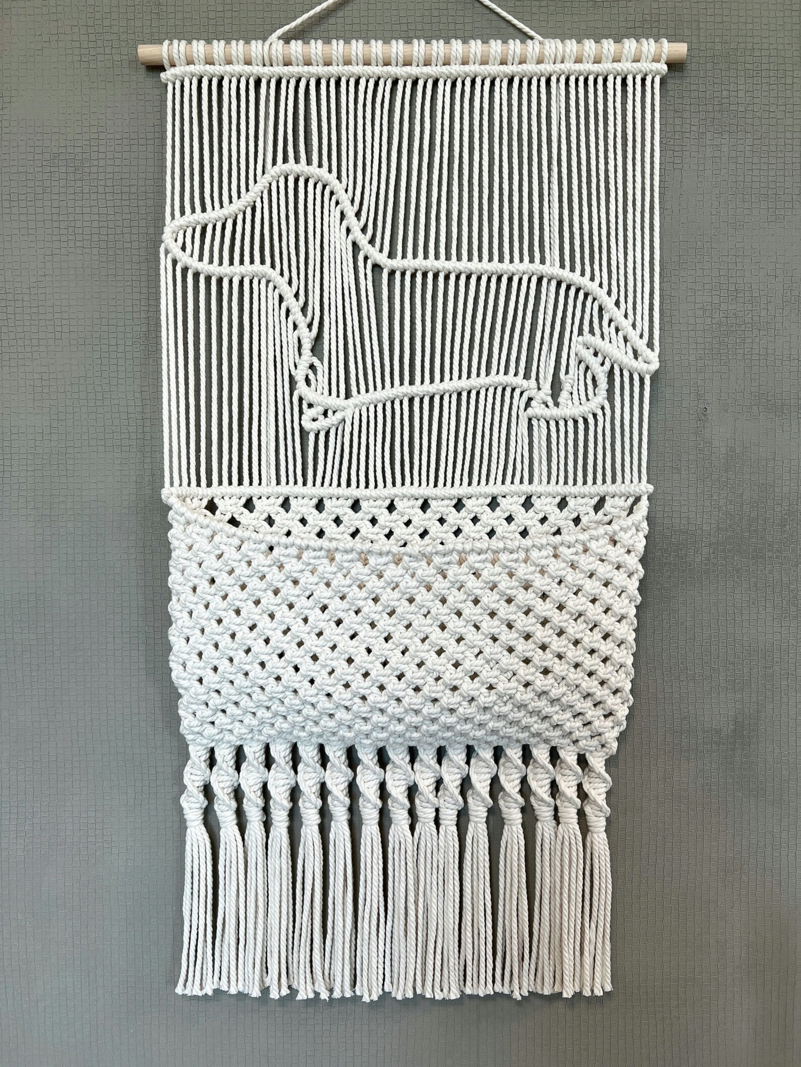 Macrame Wall Hanging Storage for Dog Owner, Organizer for Grooming With ...