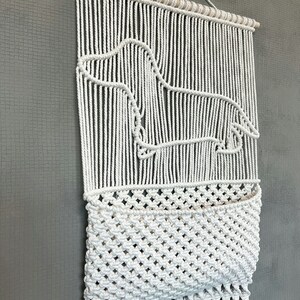 Macrame Wall Hanging Storage for Dog Owner, Organizer for Grooming With ...