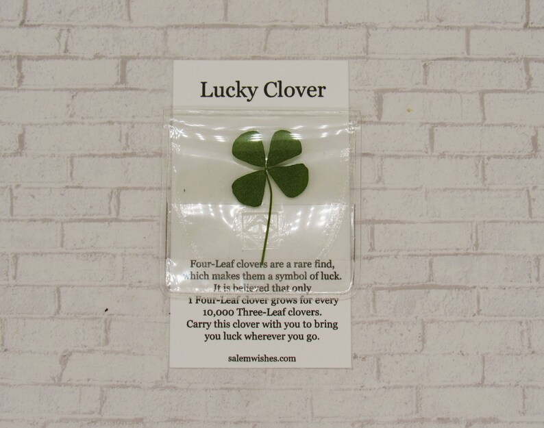 Lucky Clover, Dried 4 Leaf Clover, Lucky Irish Gift, Lucky Charm ...