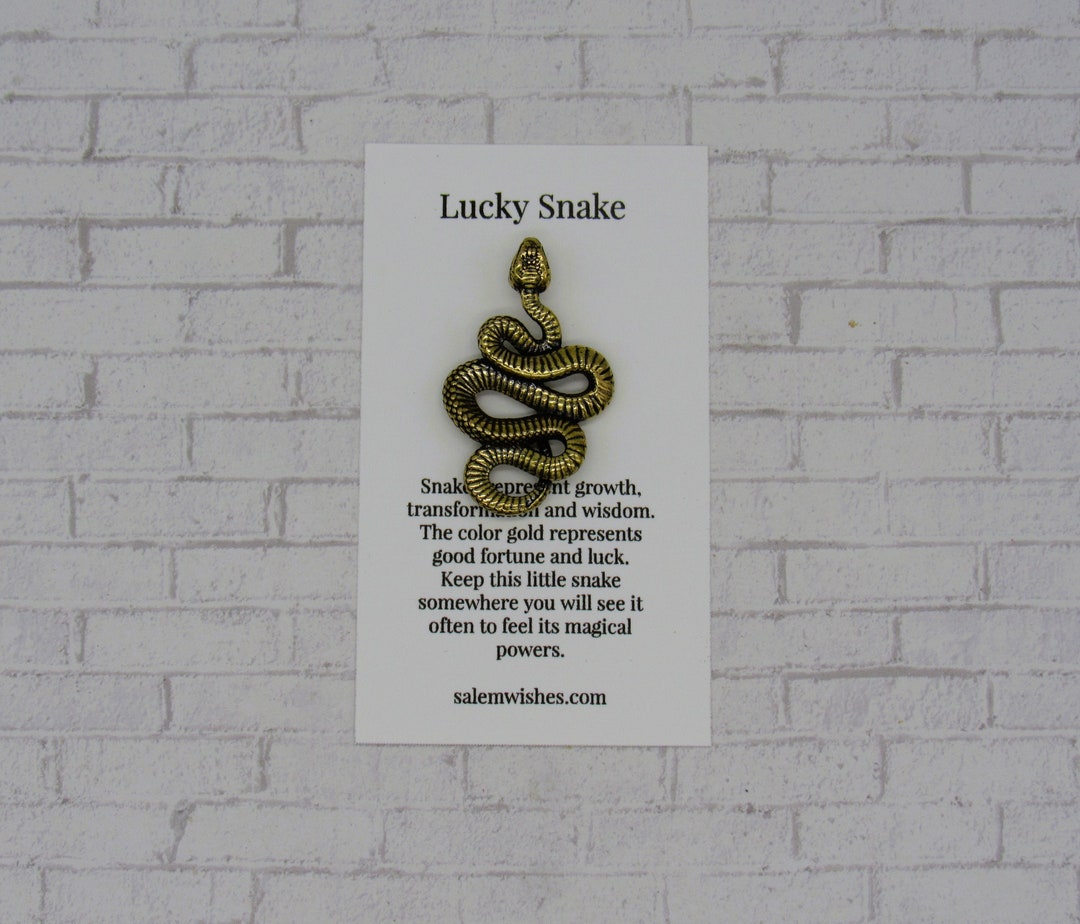 Snake, Snake Gift, Brass Snake, Year of Snake, Lucky Charm, Snake Lover ...