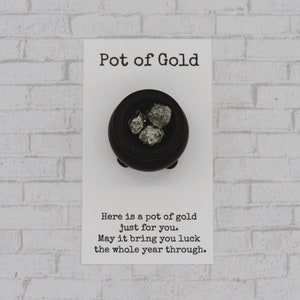 Pot of Gold, St Patrick's Day, Gift for Kids, Gift From Leprechaun ...
