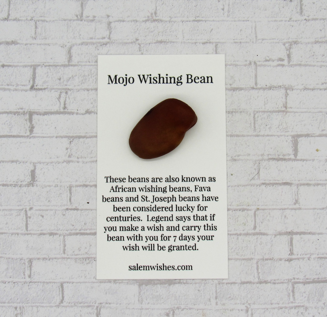Mojo Wish Bean, African Wish Bean, Fava Bean, St Joseph Bean, Magic ...