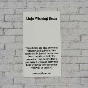 Mojo Wish Bean, African Wish Bean, Fava Bean, St Joseph Bean, Magic ...