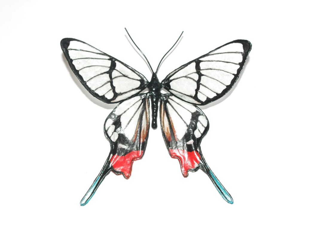 Sculptural Butterfly / Sculptural Butterfly Corinea Octauius Wire ...