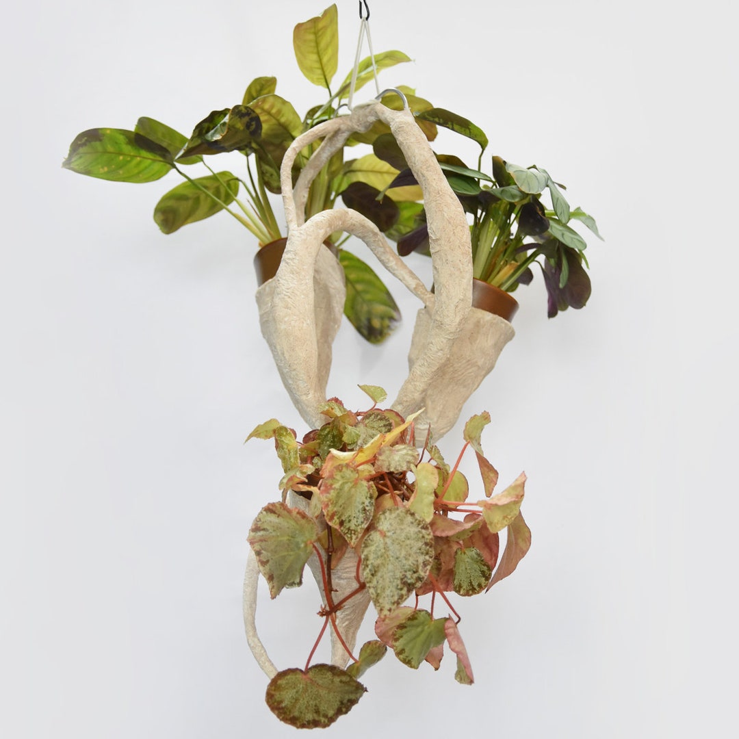 Elegantly Curved, Hanging Sculpture With Suspension for 3 Small ...