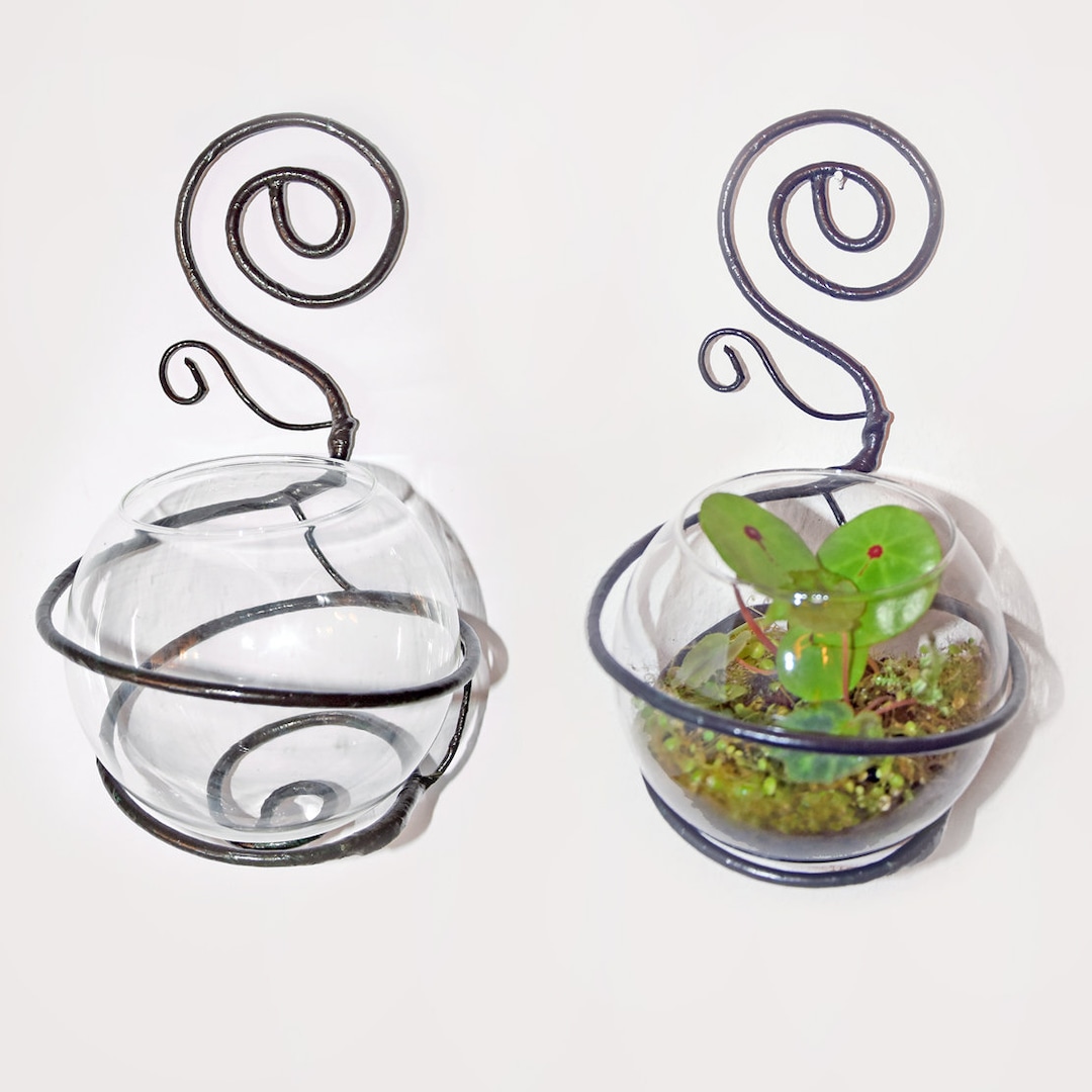 Elven Plant Holder With a Glass Sphere Vase - Elegant Brown Plant ...