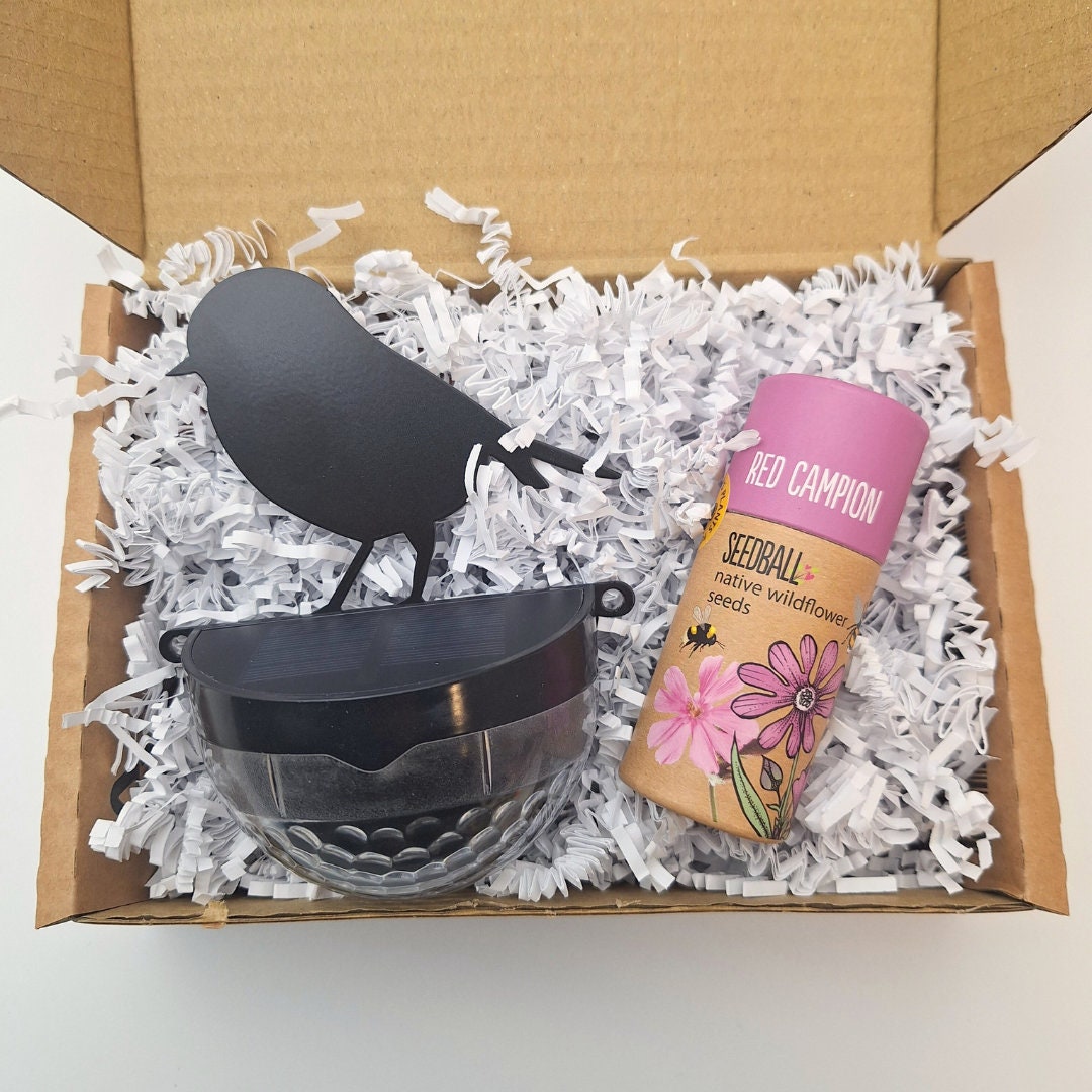 Robin Solar Light and Seed Gift Set - Etsy UK