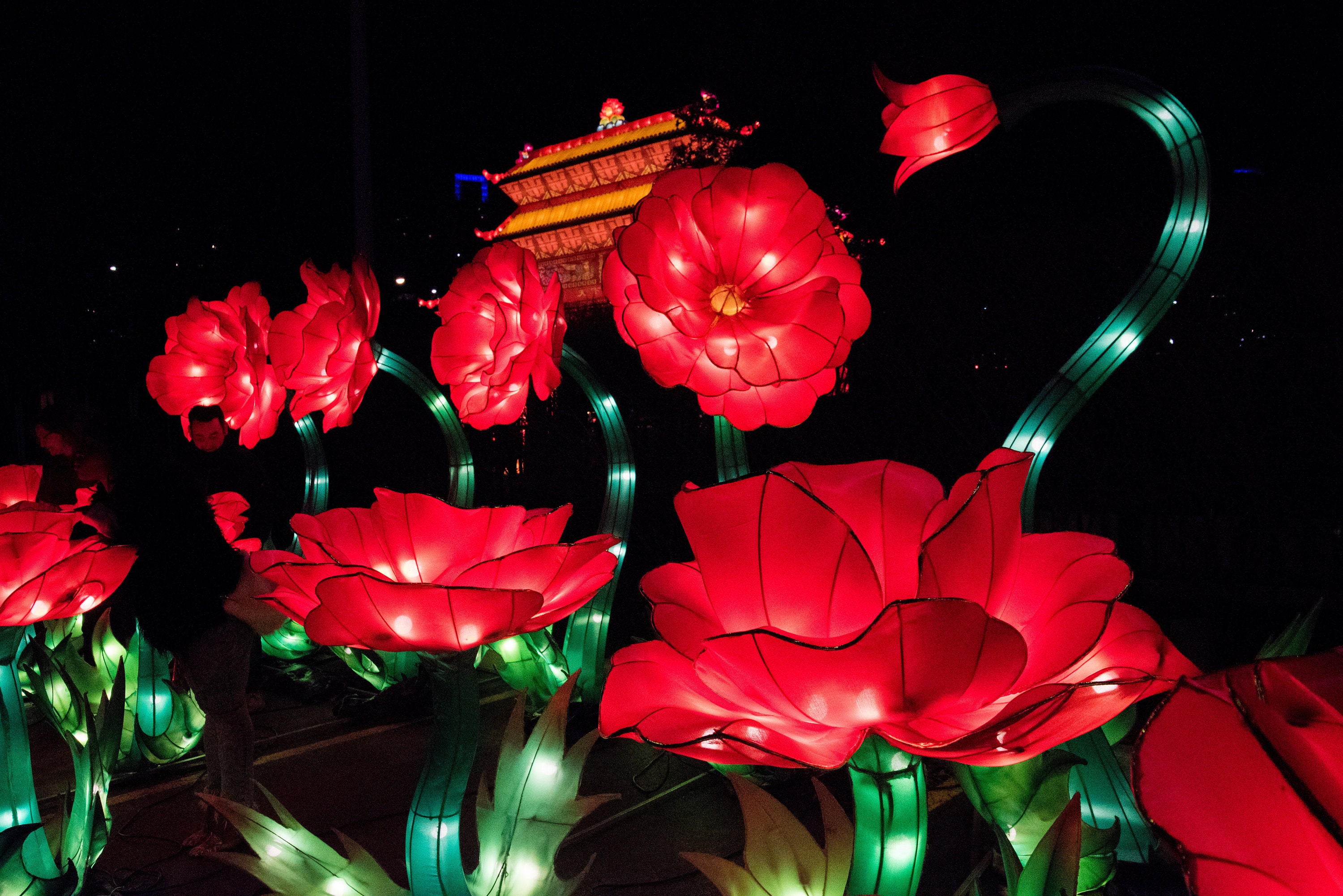 Lumières de la ville de Chicago Dragon - Etsy France