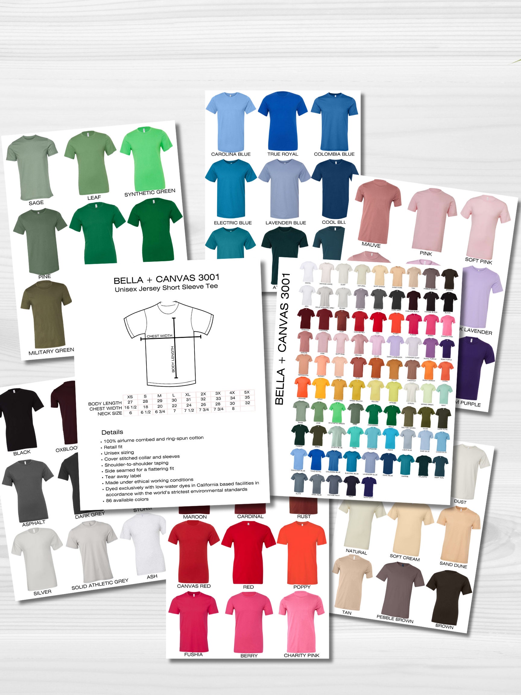 Bella Canvas 3001 Color Chart & Size Chart and Guide - Etsy