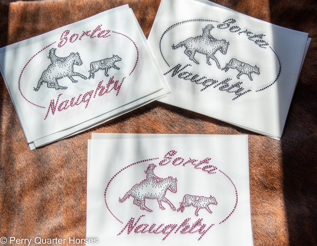 Ranch Sorting & Team Penning Heat Transfers 25 Total. Perfect for Re ...