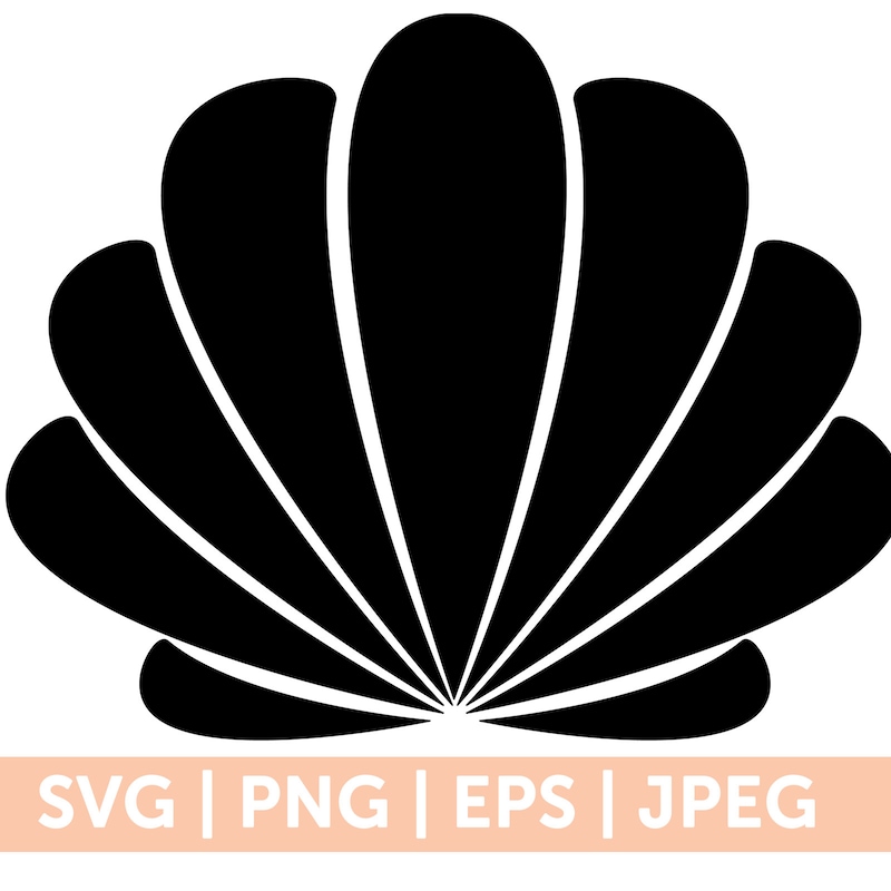 Sea Shell Svg - Etsy