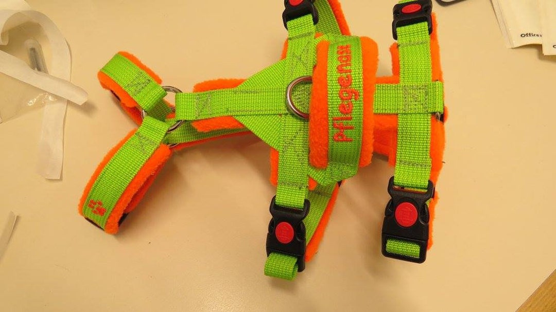 MODOG Safety Harness Escape-proof Stick - Etsy