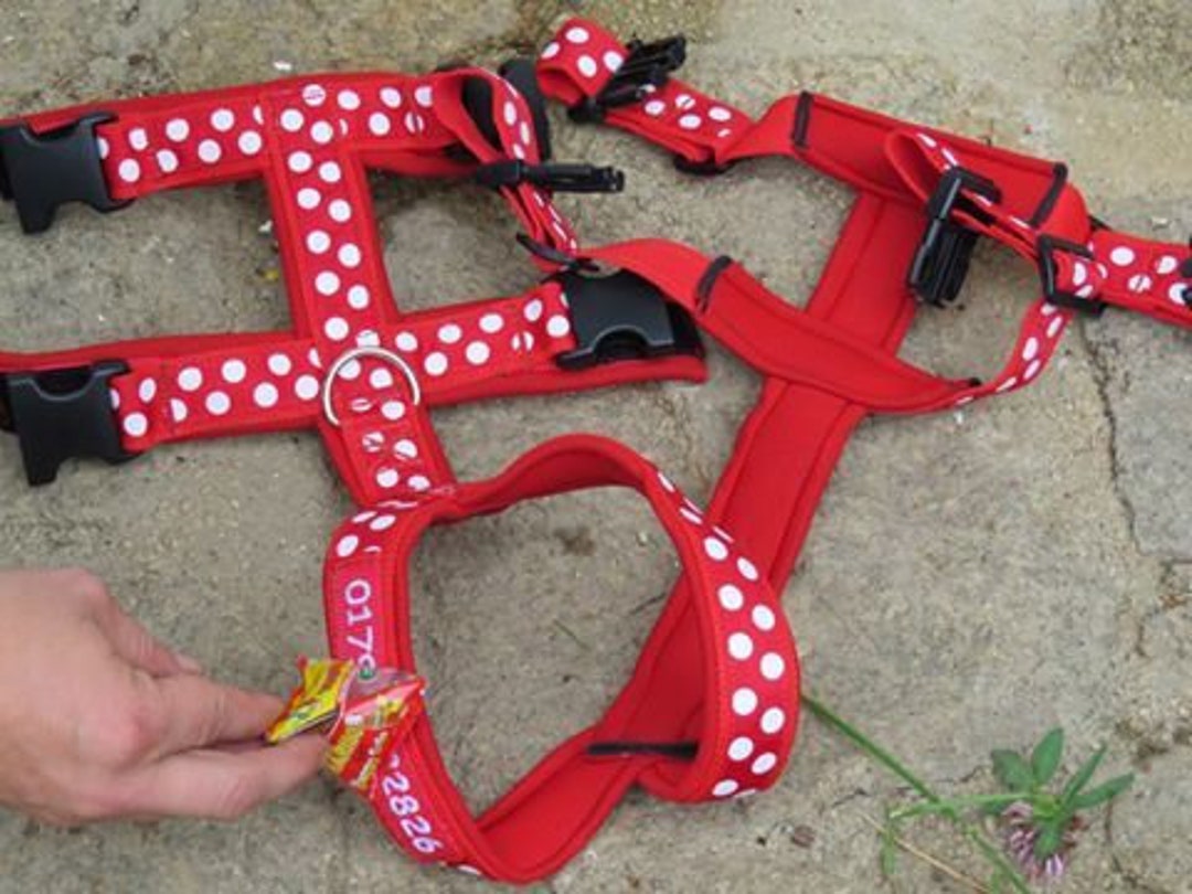 MODOG Safety Harness Dab Red White - Etsy