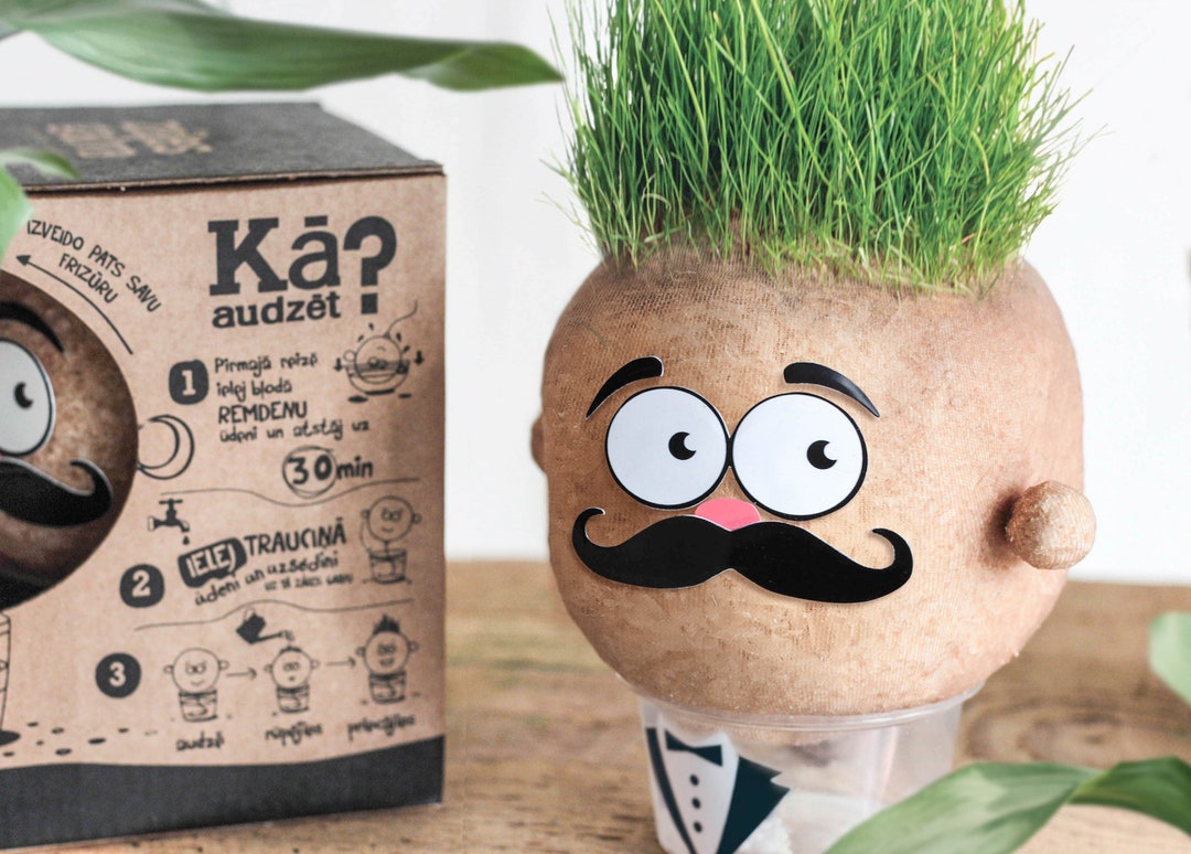 Grass Head Detective Jacques Lovely Spring Gift for Kids - Etsy