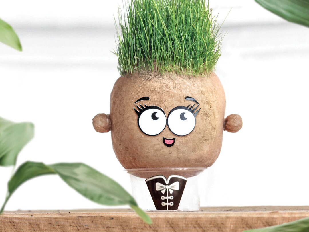 Coquette Betty Grass Head – Kids Educational Growing Toy - Etsy